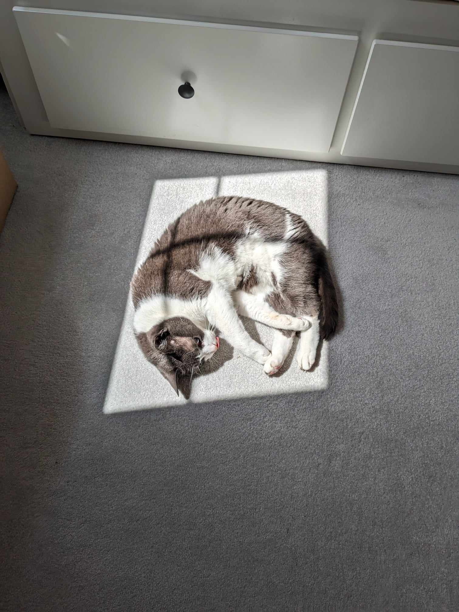 Who we are – Flomp Studio